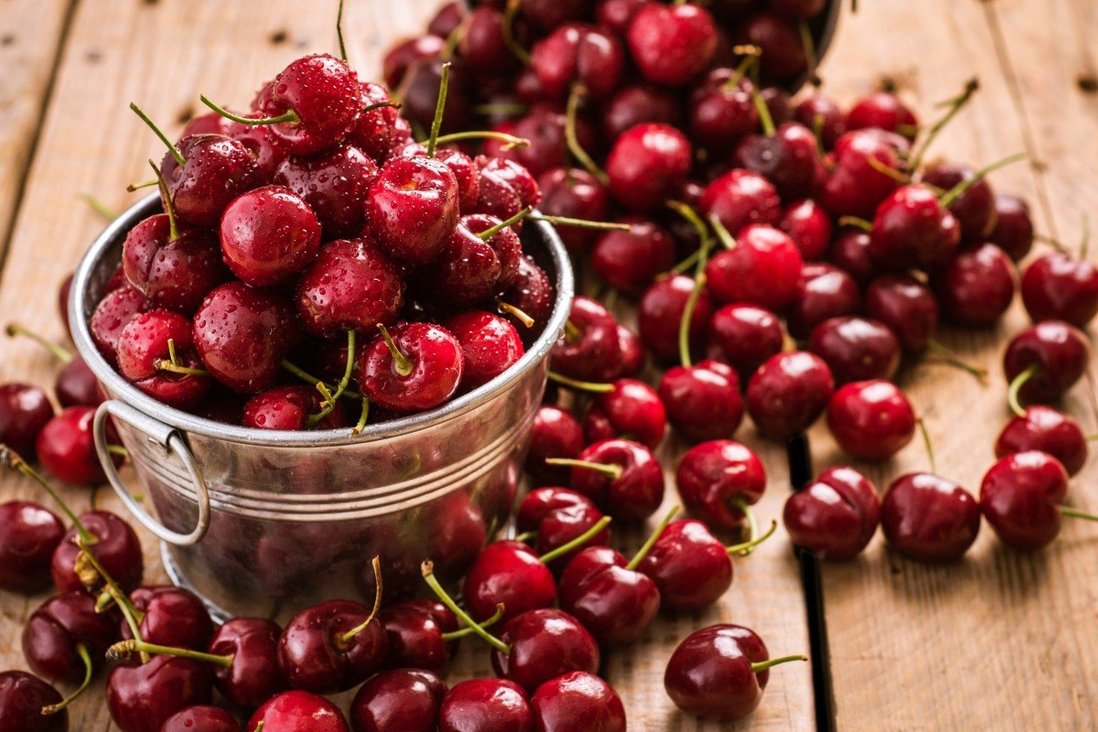 New Logistic Fruit and Berry Center is to Built in Sumy Region - GTInvest