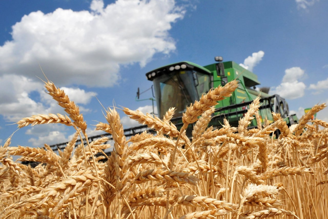 Increasing Sales of Grain Crops in Ukraine - GTInvest